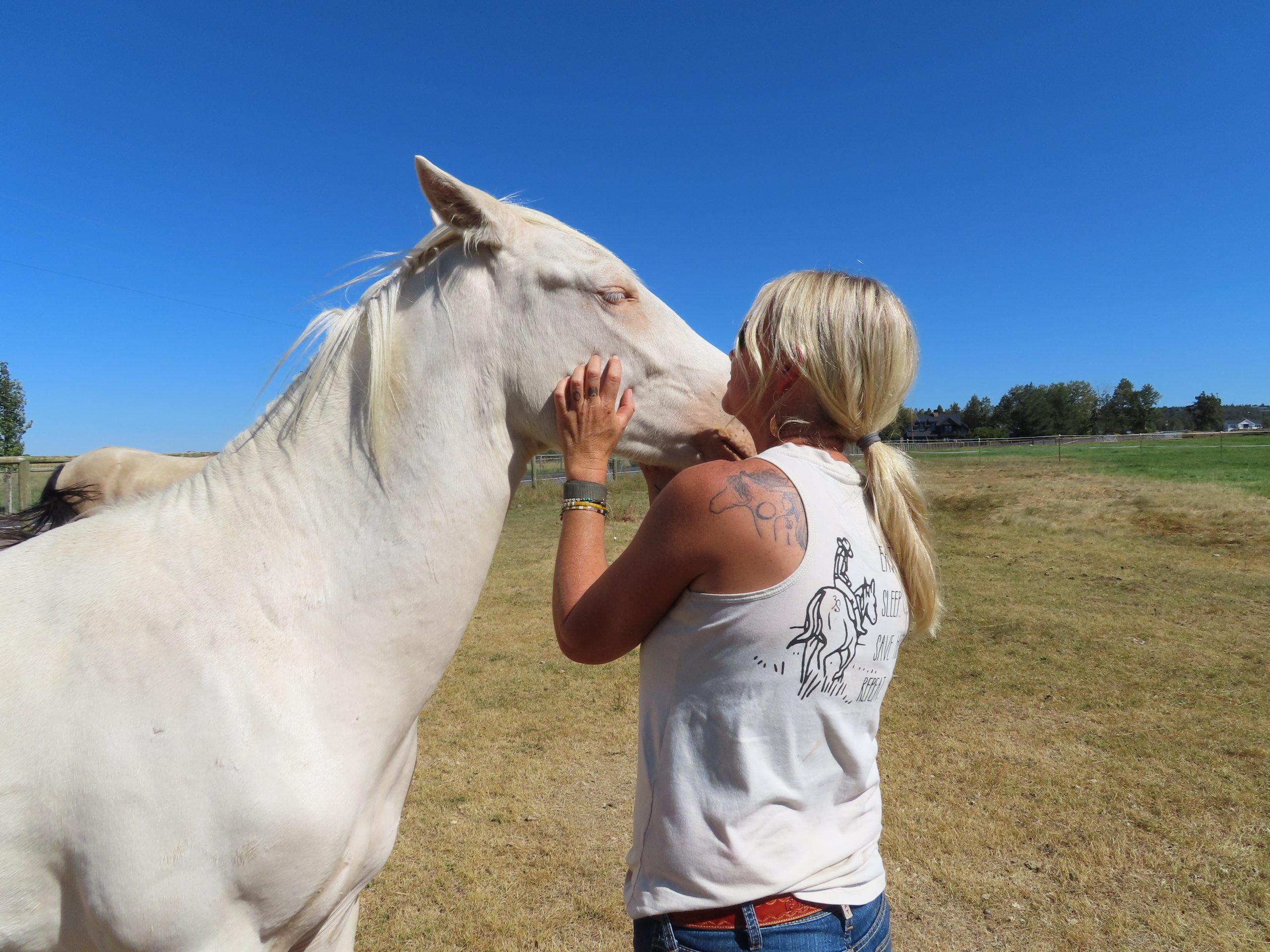 Gentling Neglected Horses Back to Health & Happiness - The Source ...
