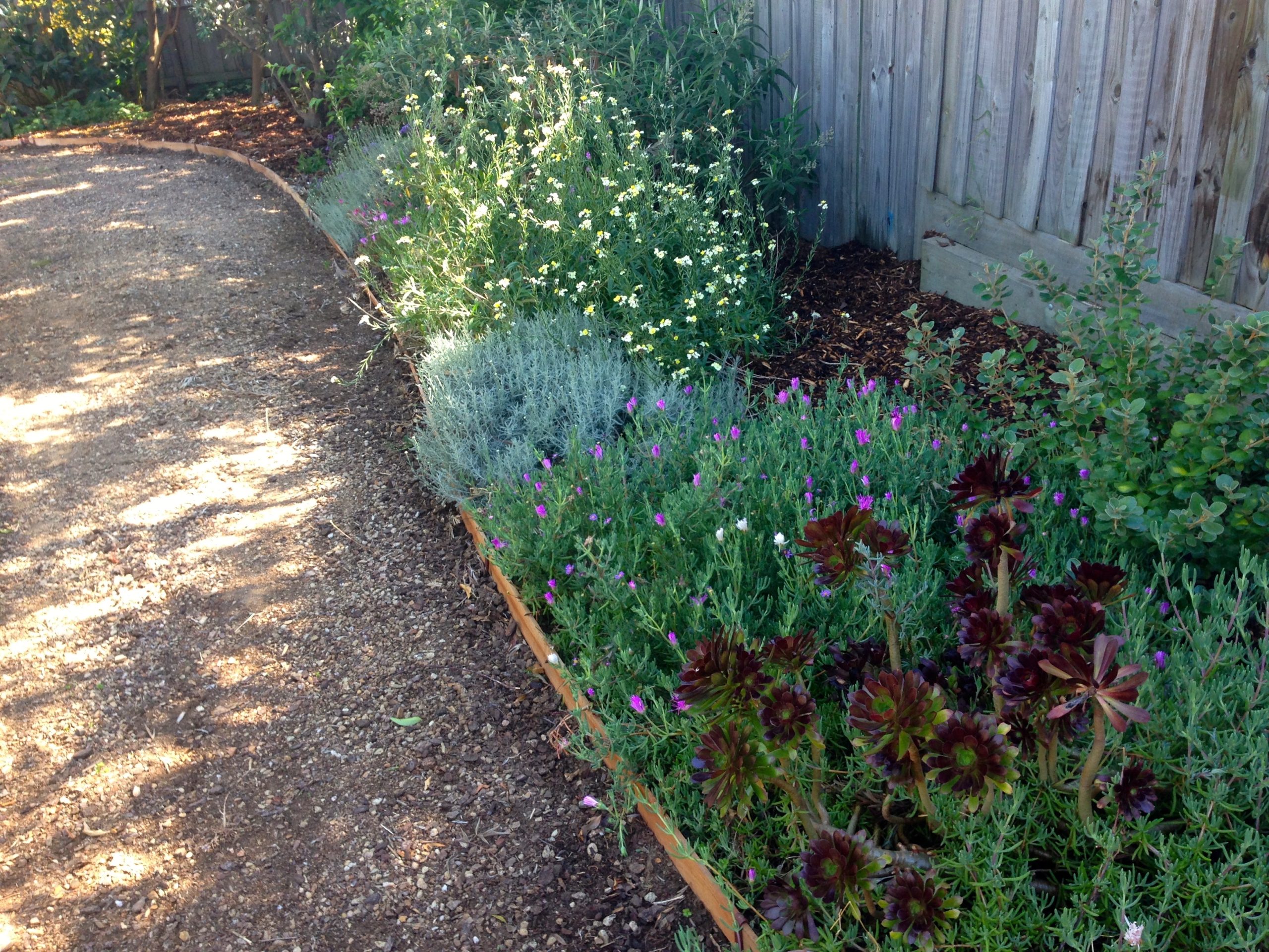 OSU Offers "Master Gardener” Training Program - The Source - Bend, Oregon