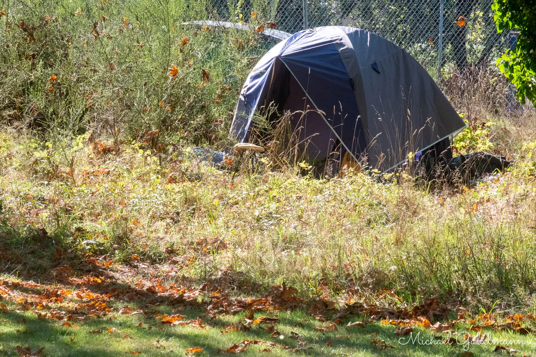Governor Kotek Issues Executive Order to Extend Homelessness State of ...